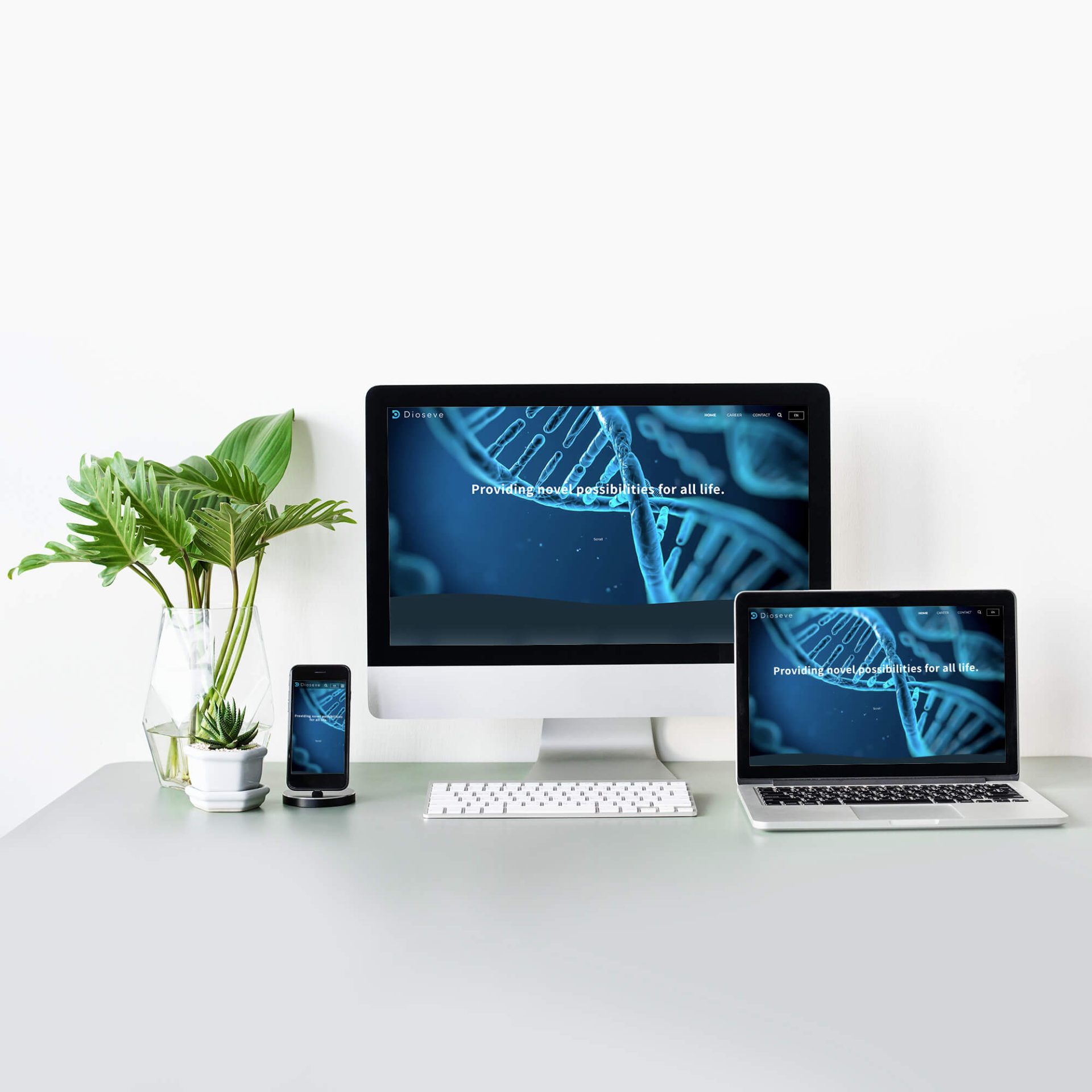 POSSWEB – possibility web